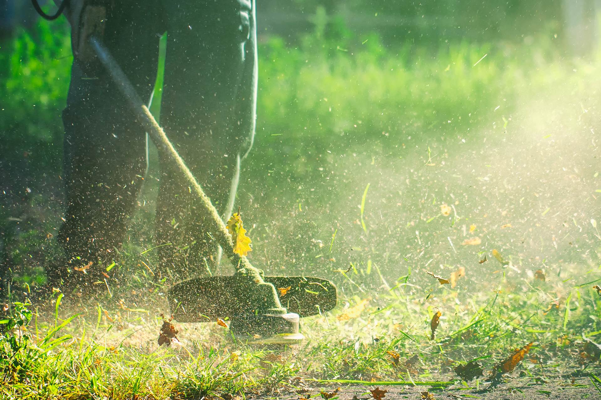 Hellre gröna fingrar än smutsiga | Aspen Fuels