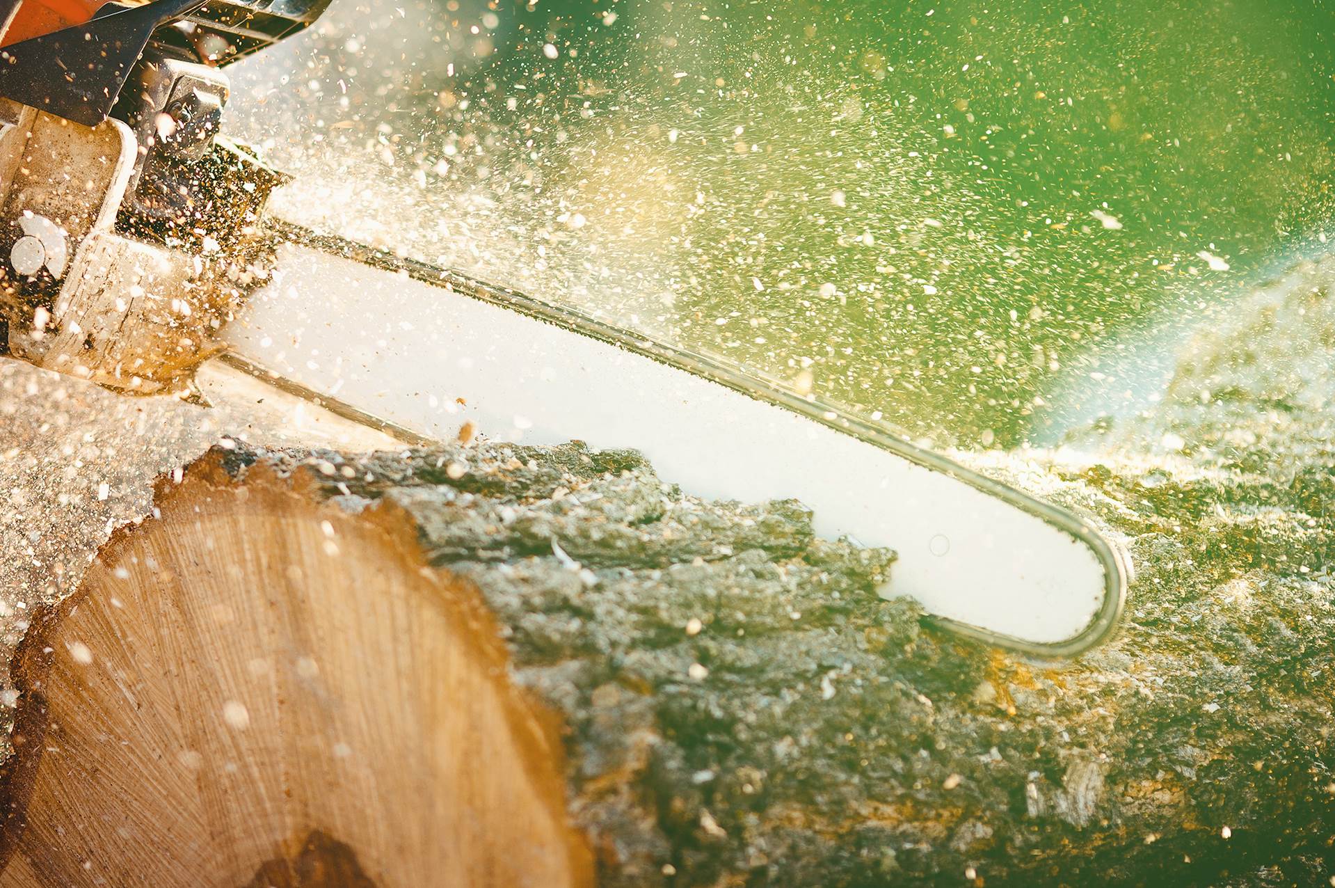 Alkylate Fuel for Forestry Machines | Aspen Fuels